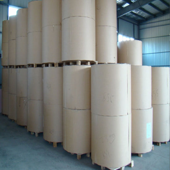 Folding Box Board (FBB, GC1, GC2) Paper Trader YAPI PAPER TURKEY